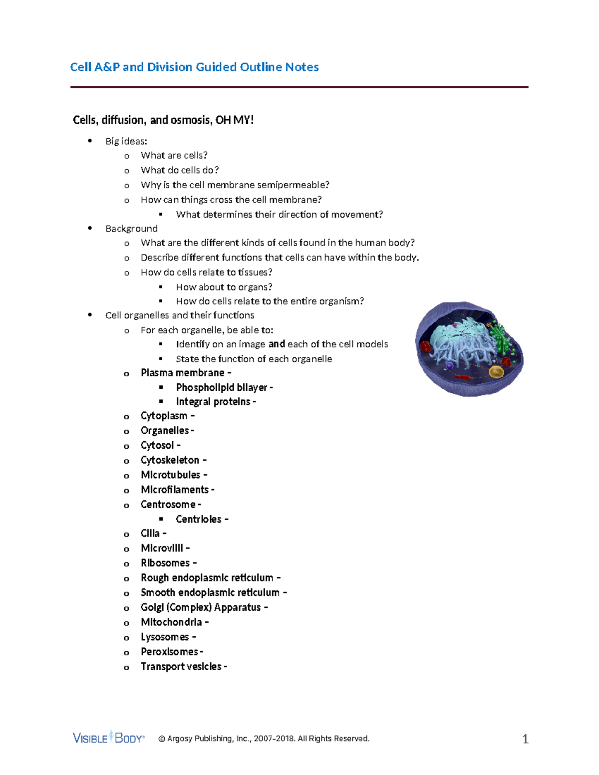Cell A P and Mitosis Guided Outline Notes - Cell A&P and Division ...