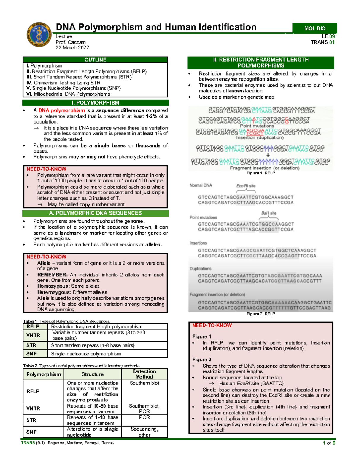 Molbio LEC 9 - DNA Polymorphism and Human Identification MOL BIO ...