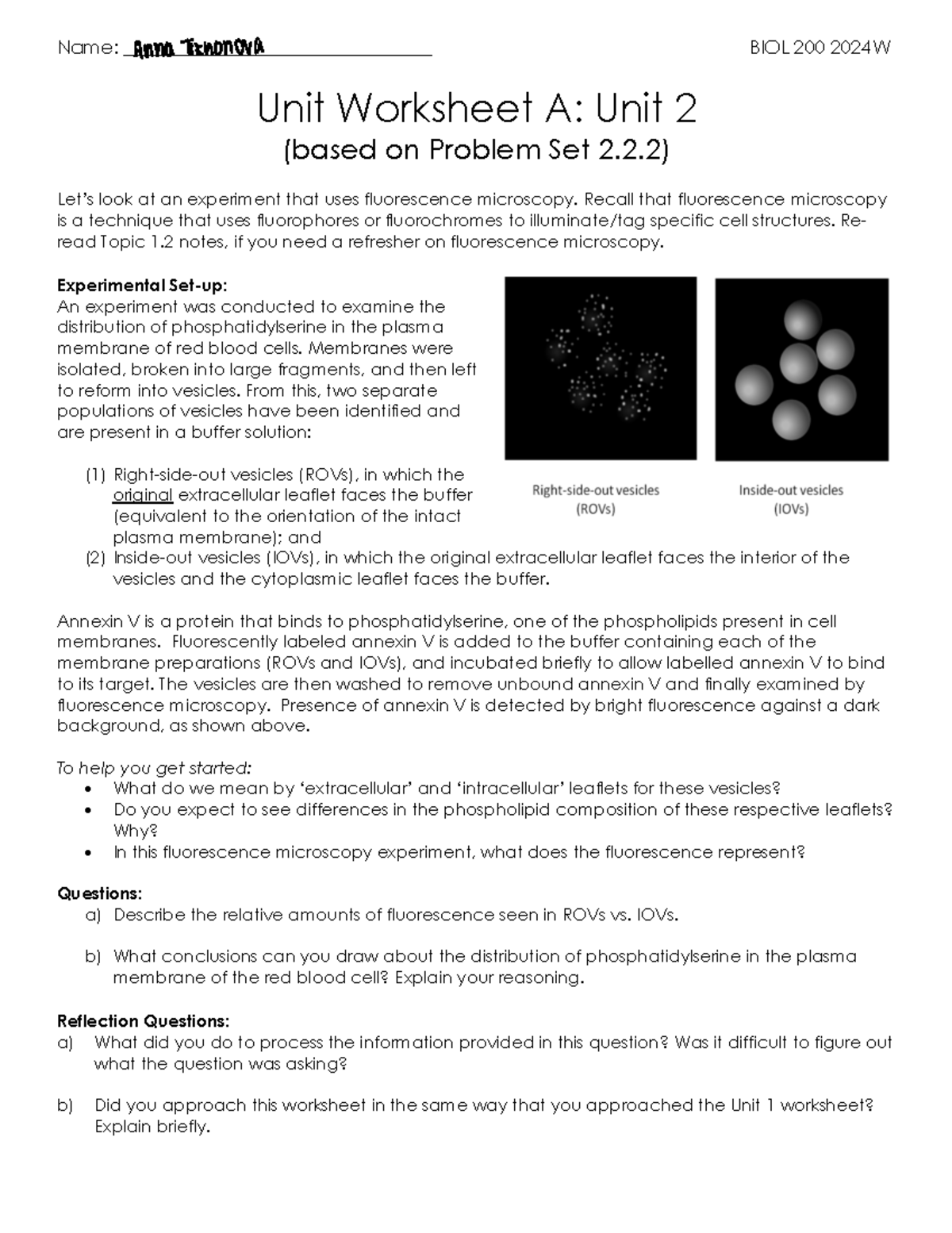 UW Unit2A - Unit Worksheet 2A - Name ...