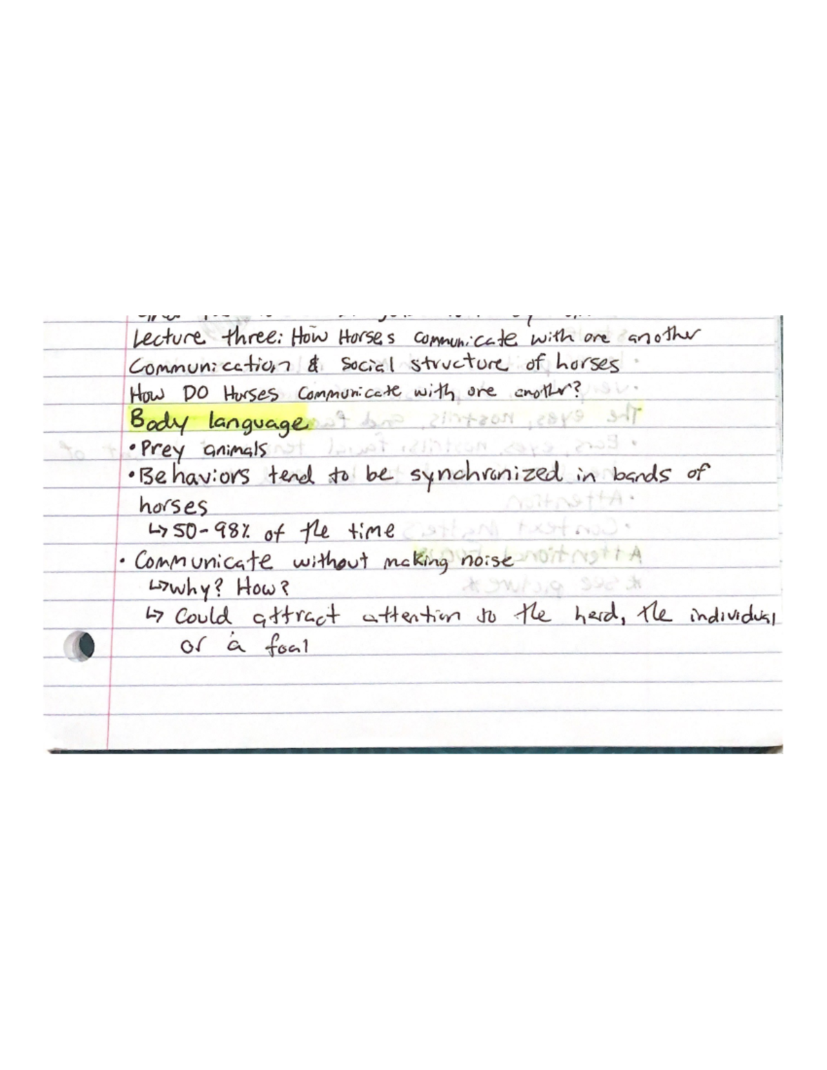 How Horses Communicate With One Another - ANS 145 - Studocu