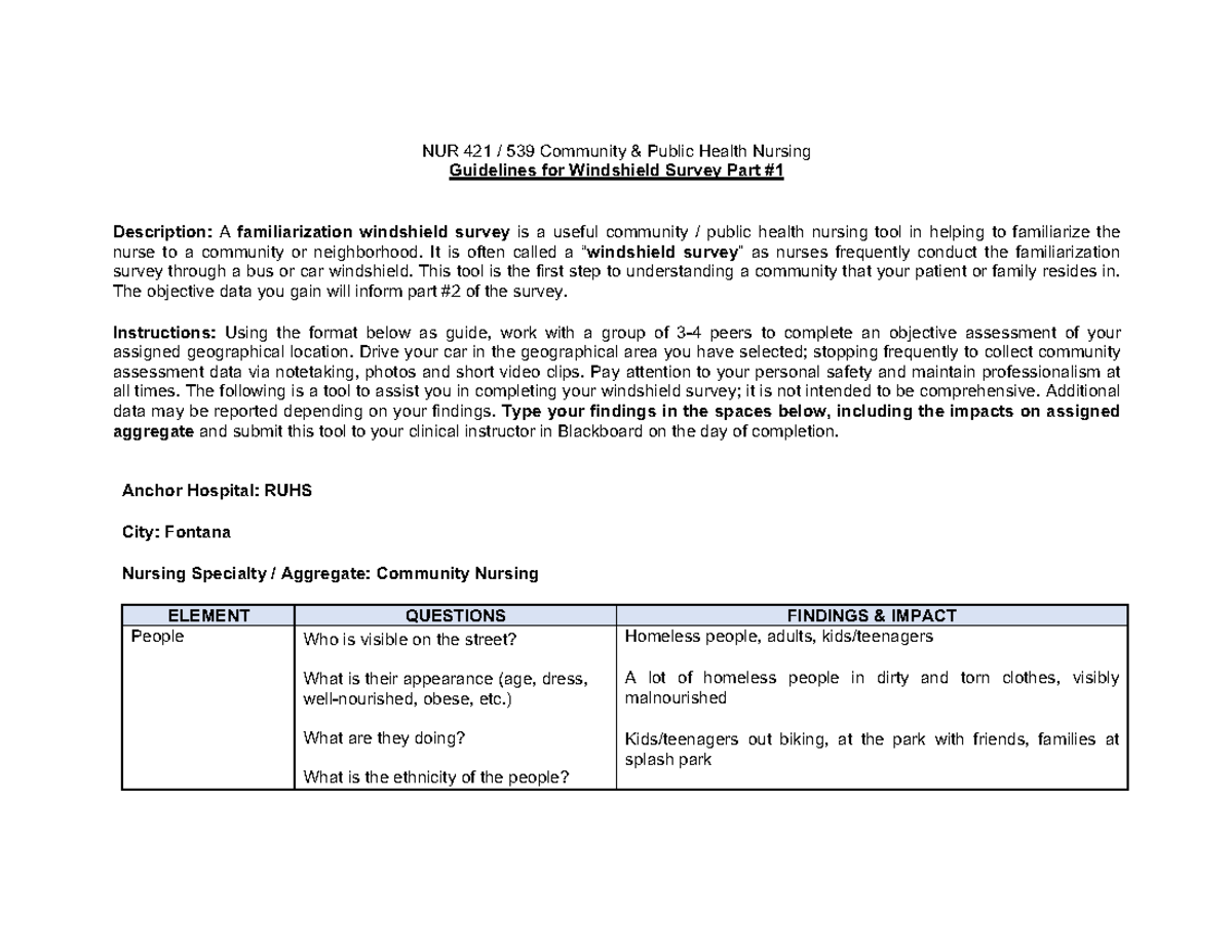NUR 421/539 Windshield Survey Guidelines: Community Assessment - NUR ...