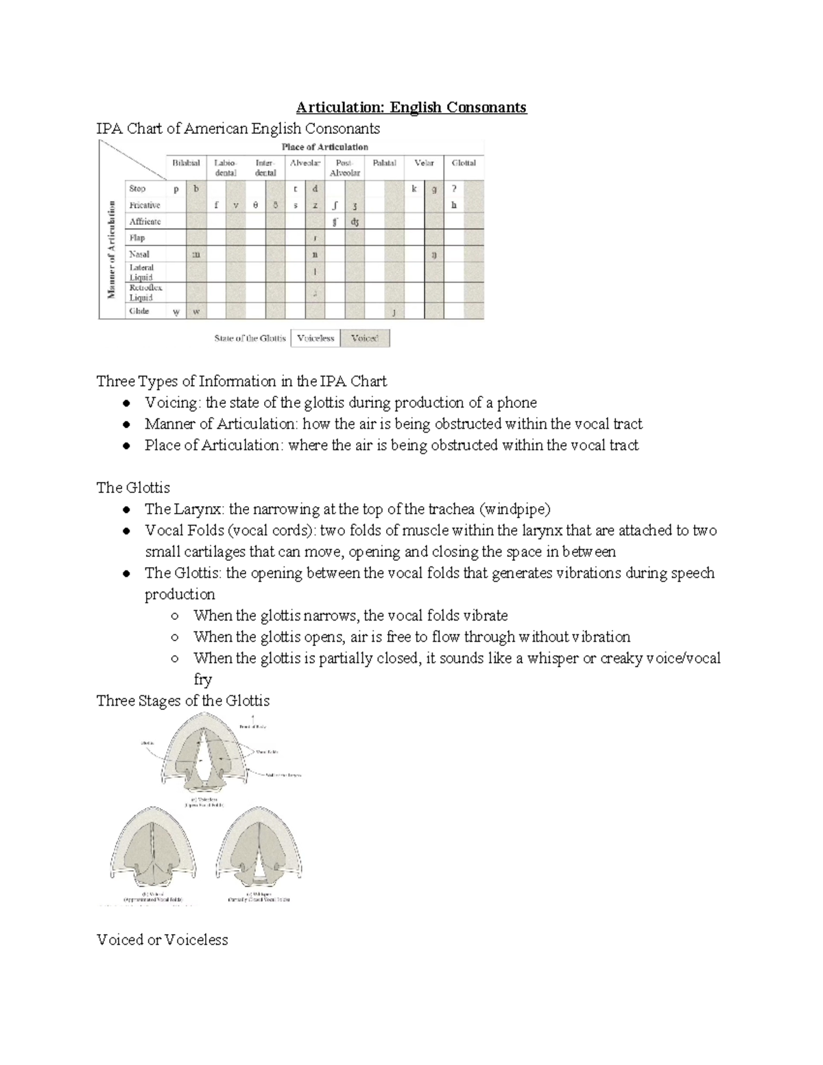 2.2 Consonants - Articulation: English Consonants IPA Chart of American ...