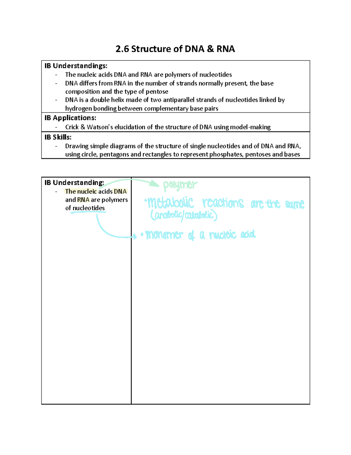 2 - chem homework - 2 Structure of DNA & RNA IB Understandings: The ...