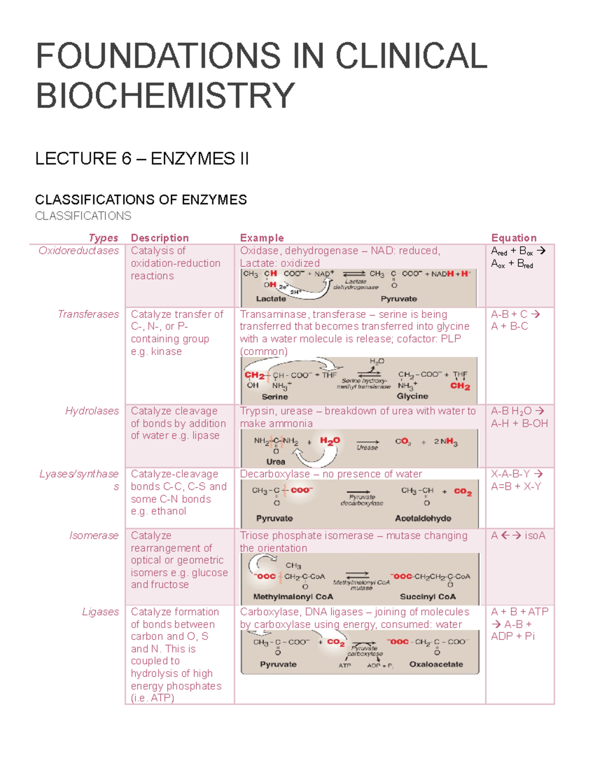 FCB Lecture 6 notes - FOUNDATIONS IN CLINICAL BIOCHEMISTRY LECTURE 6 ...