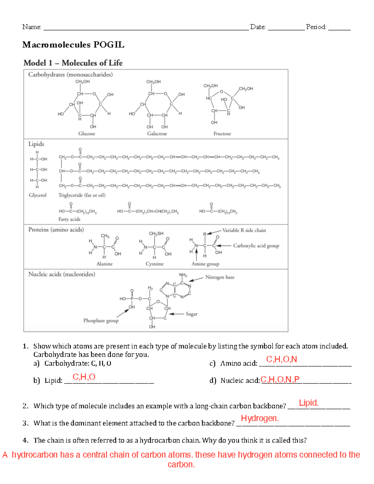 Macrocolecules Pogil - Name ...