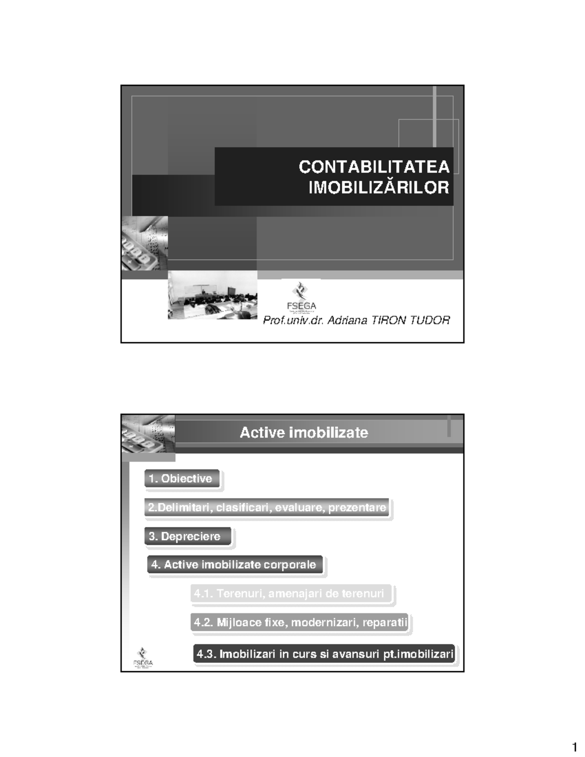 CF Curs 4 5 6 Contabilitatea imobilizarilor - Prof.univ. Adriana TIRON ...