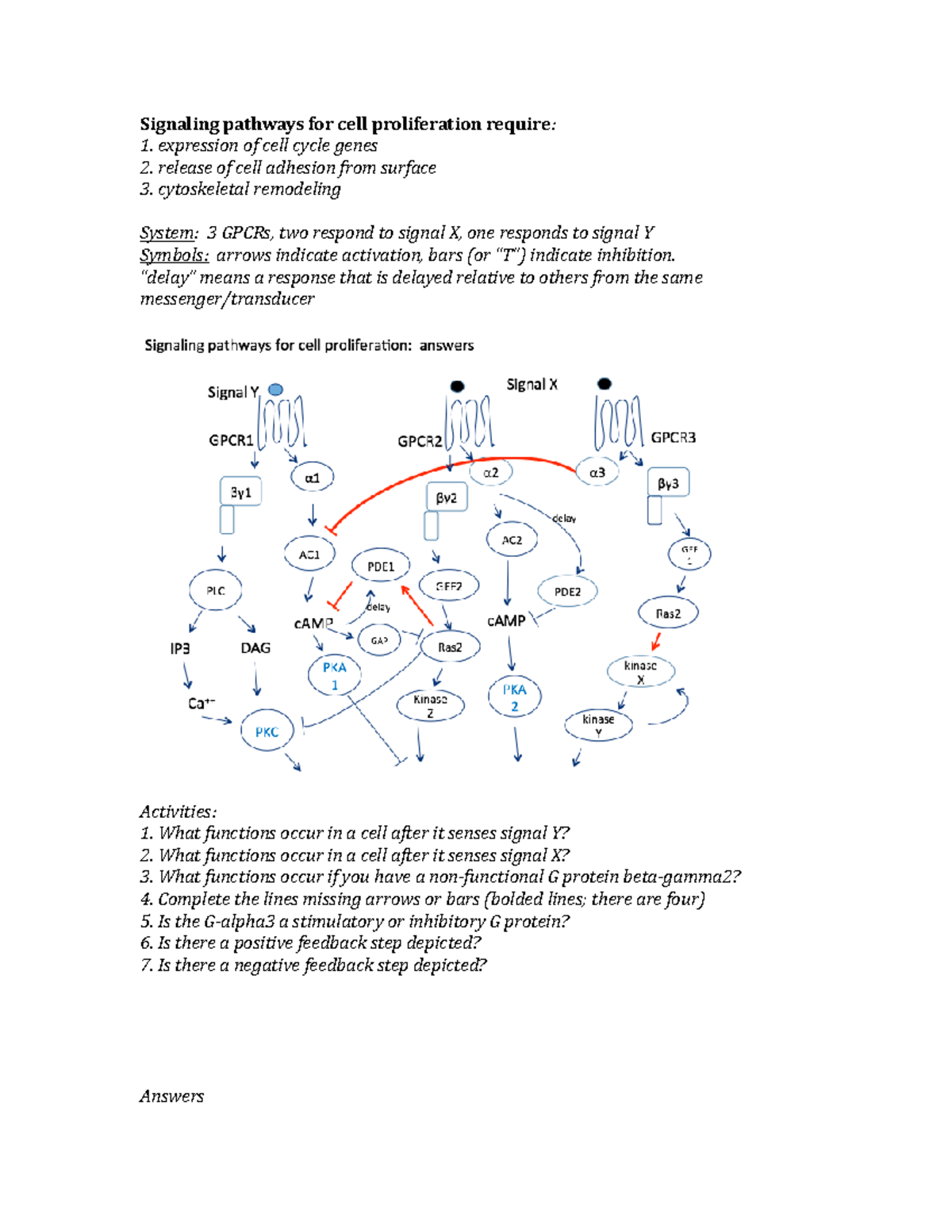 Exercise pathways key - This is an In class activity doc - Signaling ...