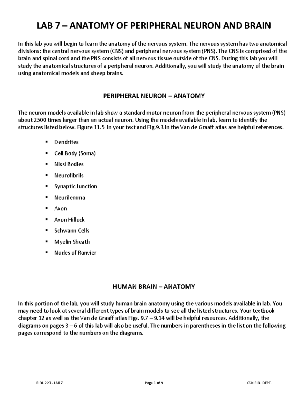 BIO 223 LAB 7 - LAB 7 – ANATOMY OF PERIPHERAL NEURON AND BRAIN In this ...