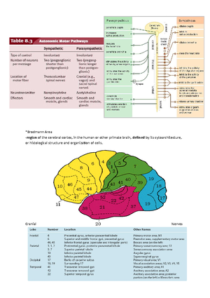 BAM 040 SAS 2 - notes - Student Activity Sheets Module # Name: Ericha ...