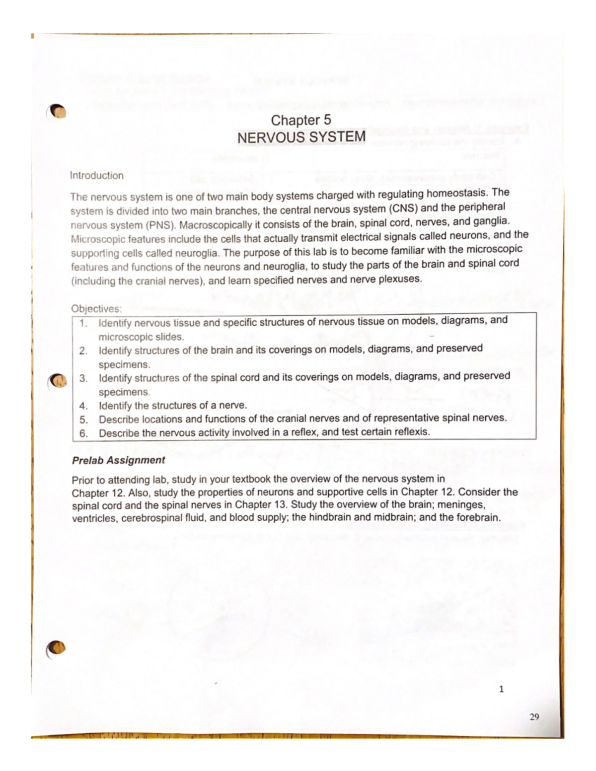 Chapter 5 - lab worksheet for BSC 2085 - BSC 2085 - Studocu