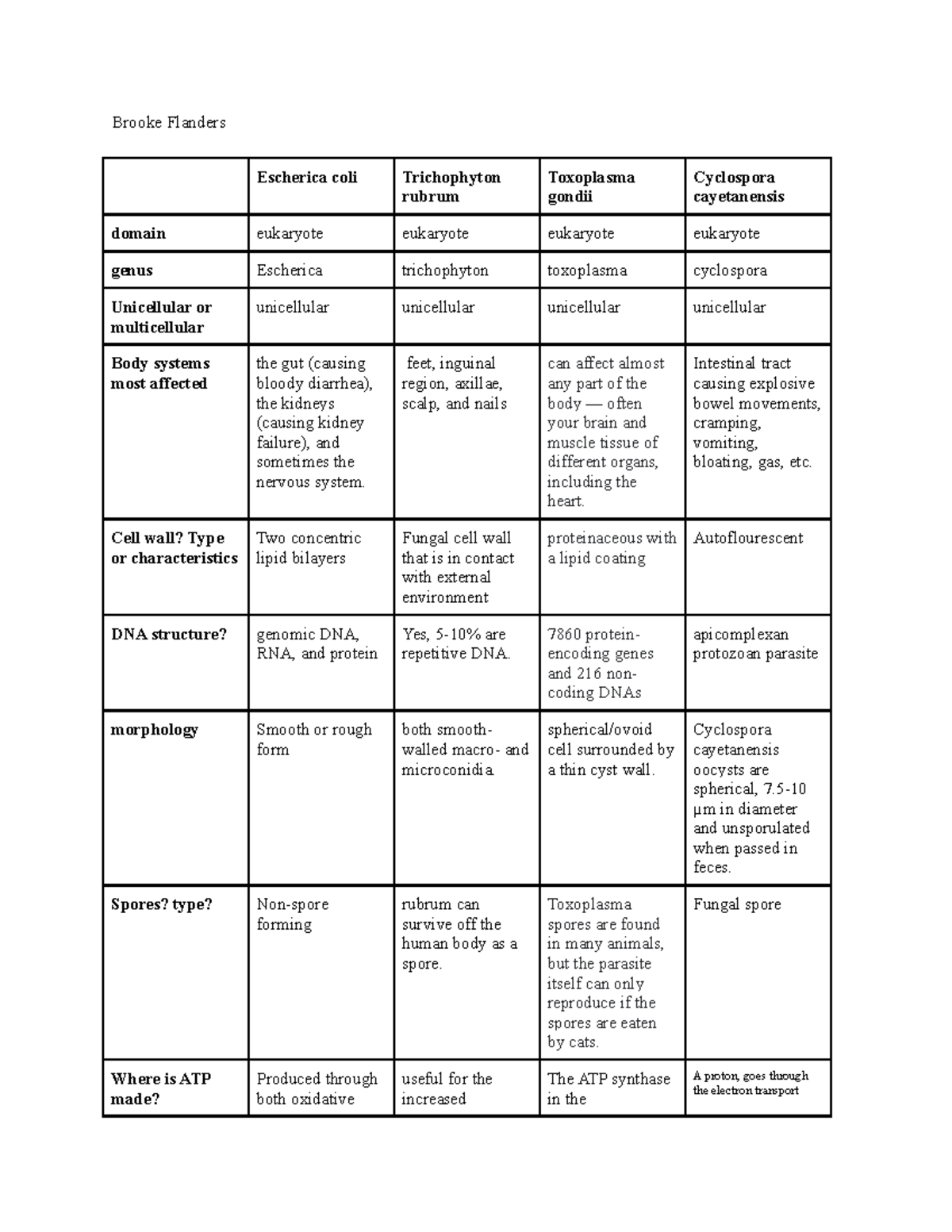 Comparison of eukaryotes to prokaryotes - Brooke Flanders Escherica ...