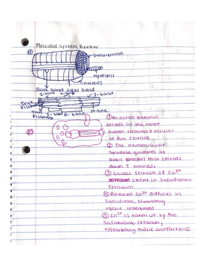 The Protist Lab Introduction - During this lab you will look at 10 ...