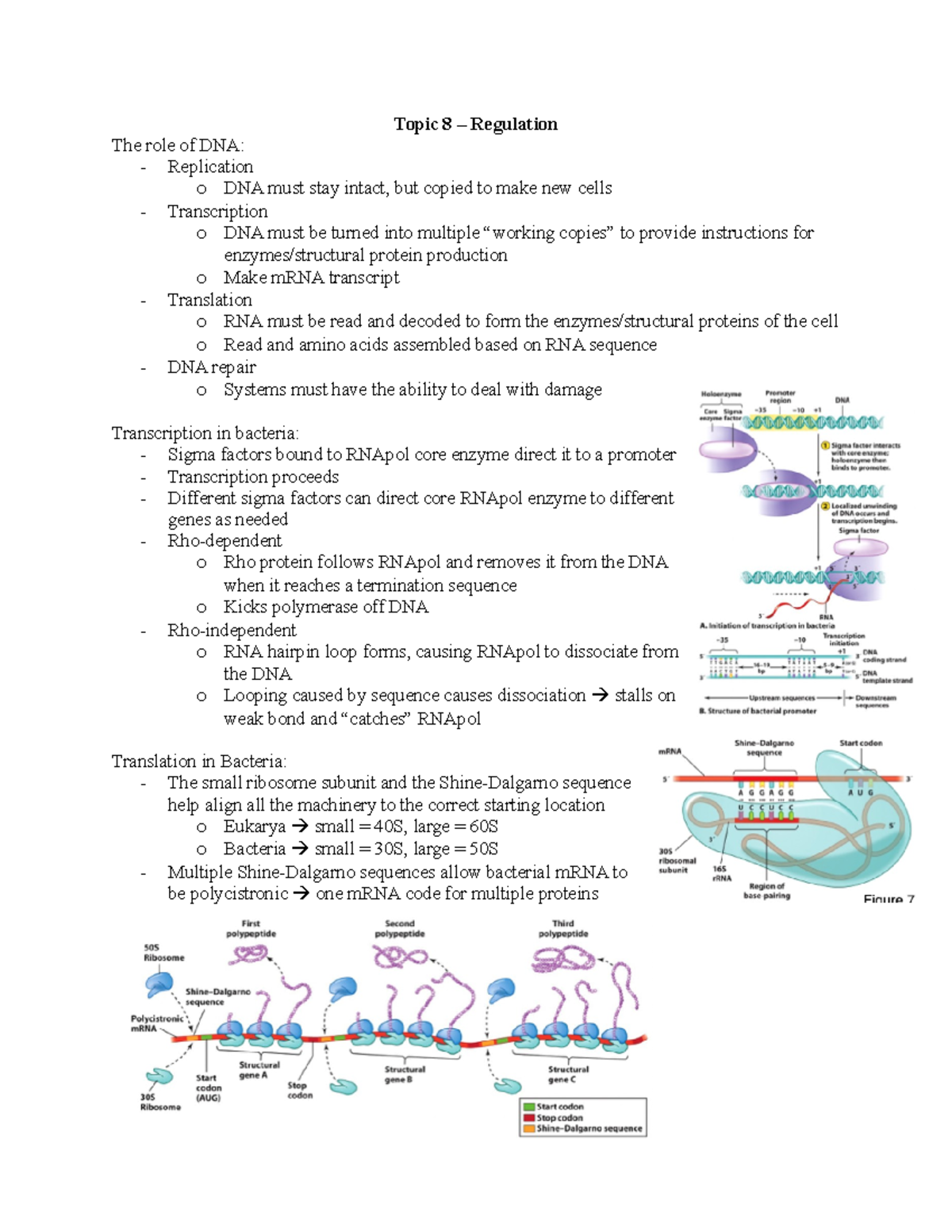 Topic 8 - Regulation - Unit notes - Topic 8 – Regulation The role of ...