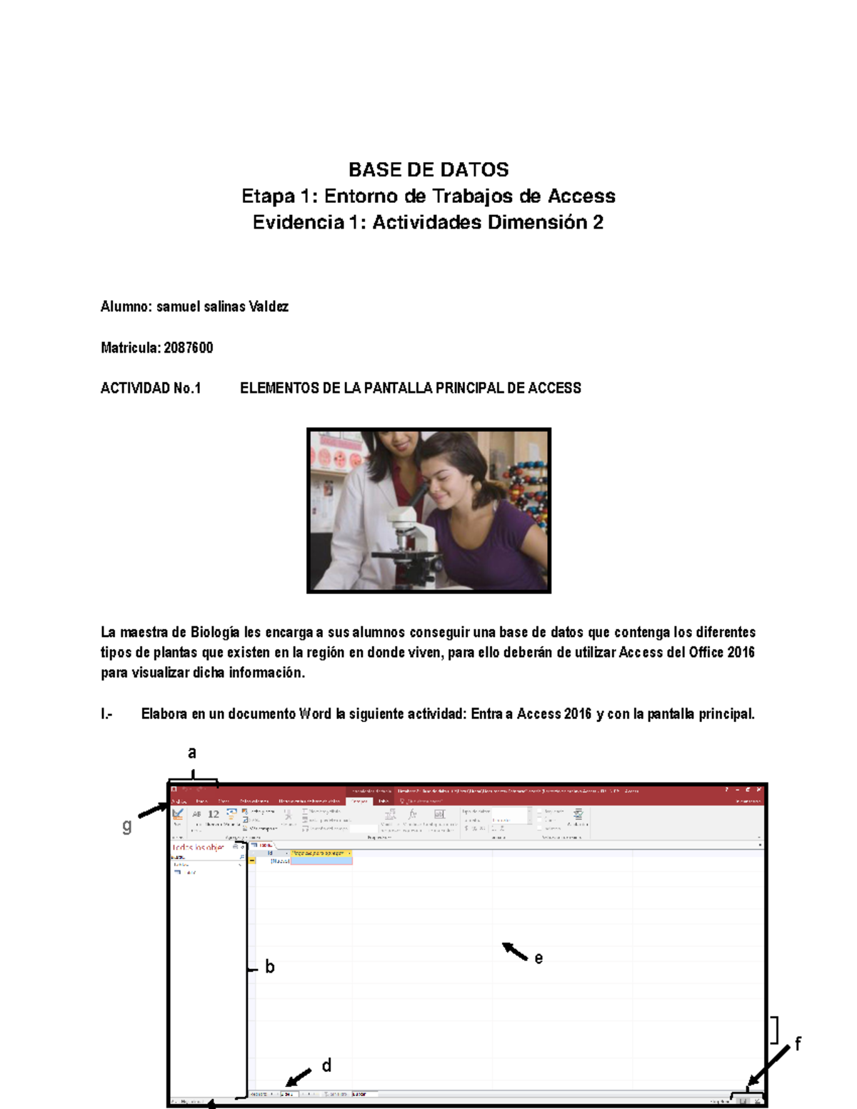 SSV EV1 BD - aaaa - a. 1 BASE DE DATOS Etapa 1: Entorno de Trabajos de Access Evidencia 1: - Studocu