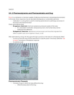 Analgesics concept lab - ,QWUR WR 6RPDWRVHQVRU\ V\VWHP 1HUYRXV V\VWHP ...