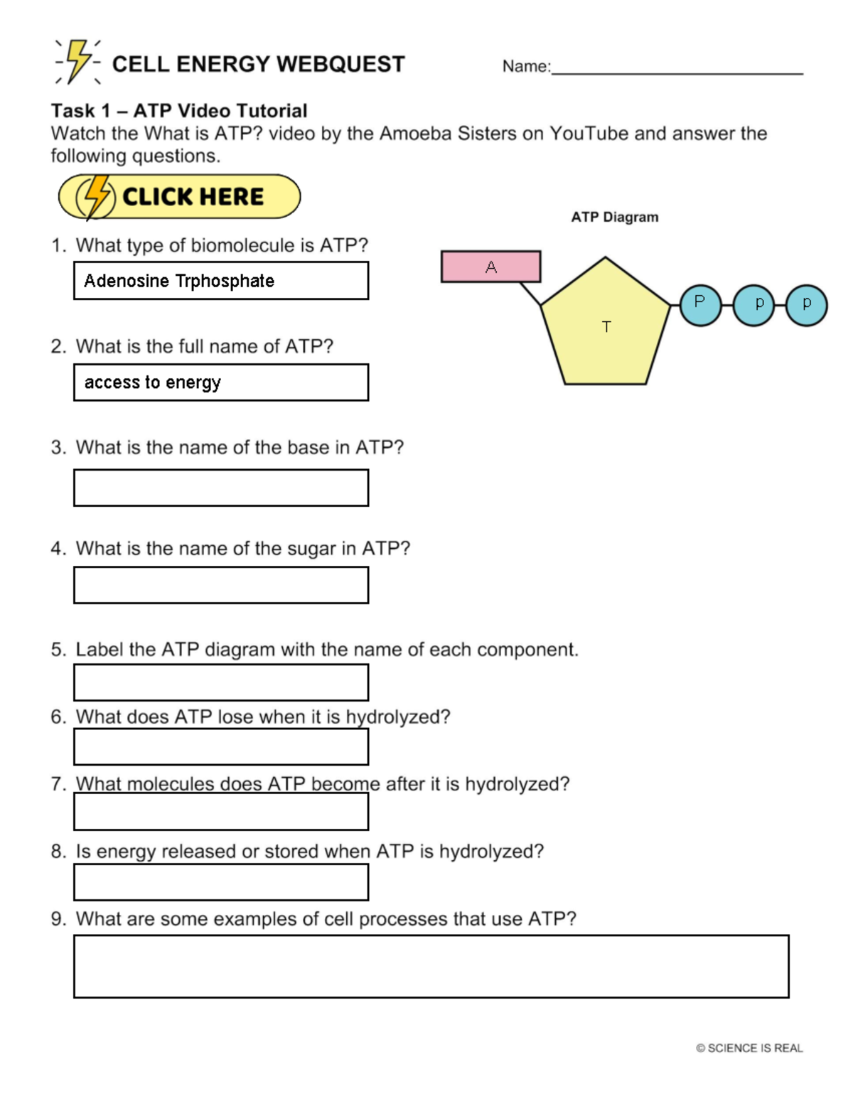 Copy of Cell Energy Webquest - Adenosine Trphosphate access to energy A ...