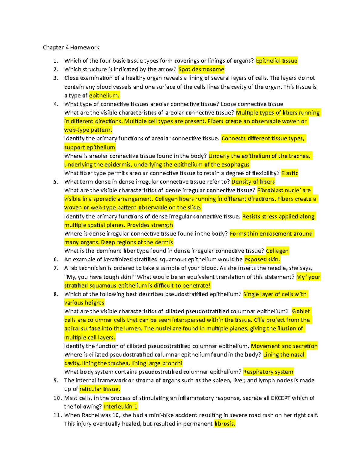 Chapter 4 Homework - Chapter 4 Homework Which of the four basic tissue ...