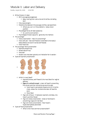 Module 3 Pre-labor Complications and High Risk Labor and Delivery ...