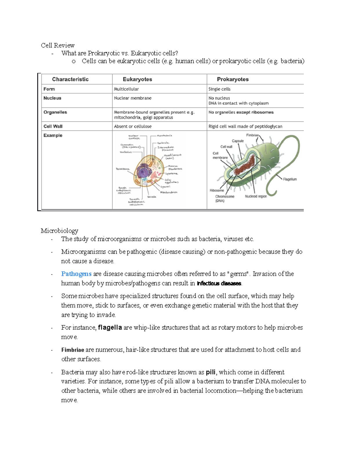 Prep work 3: Bacteria and eukaryotes - Cell Review - What are ...