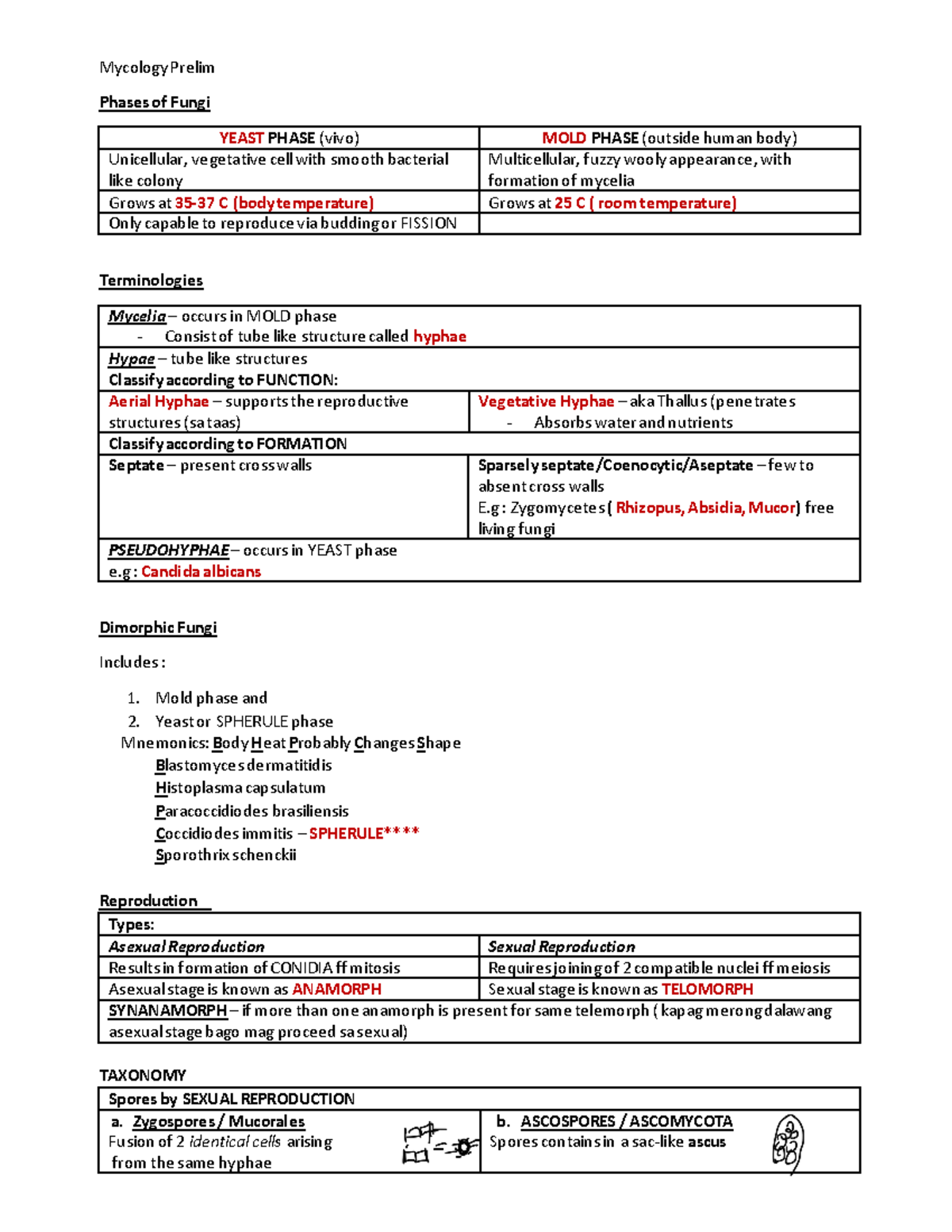 Mycology Prelim summary - Mycology Prelim Phases of Fungi YEAST PHASE ...