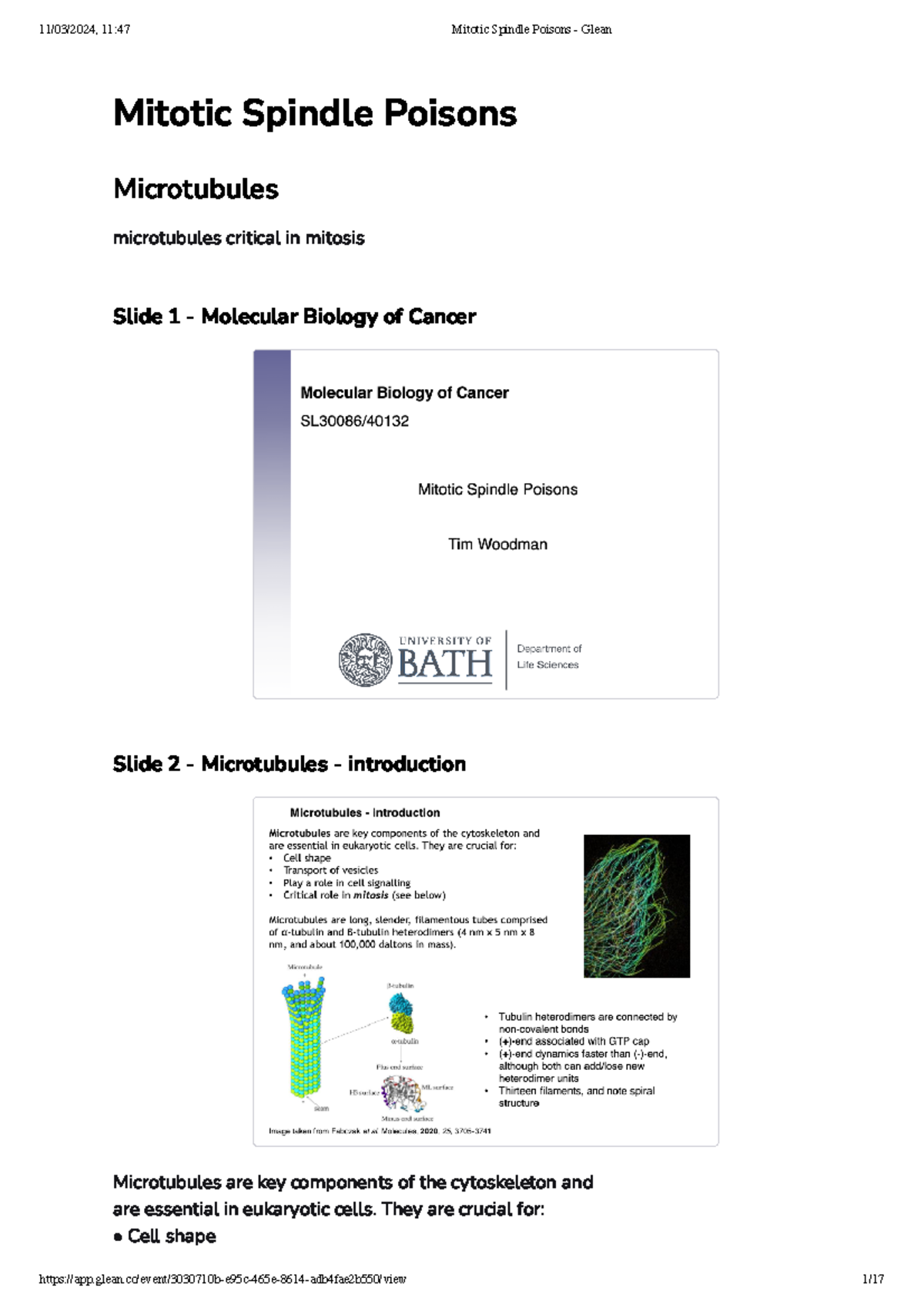 Mitotic Spindle Poisons - Mitotic Spindle Poisons Microtubules ...