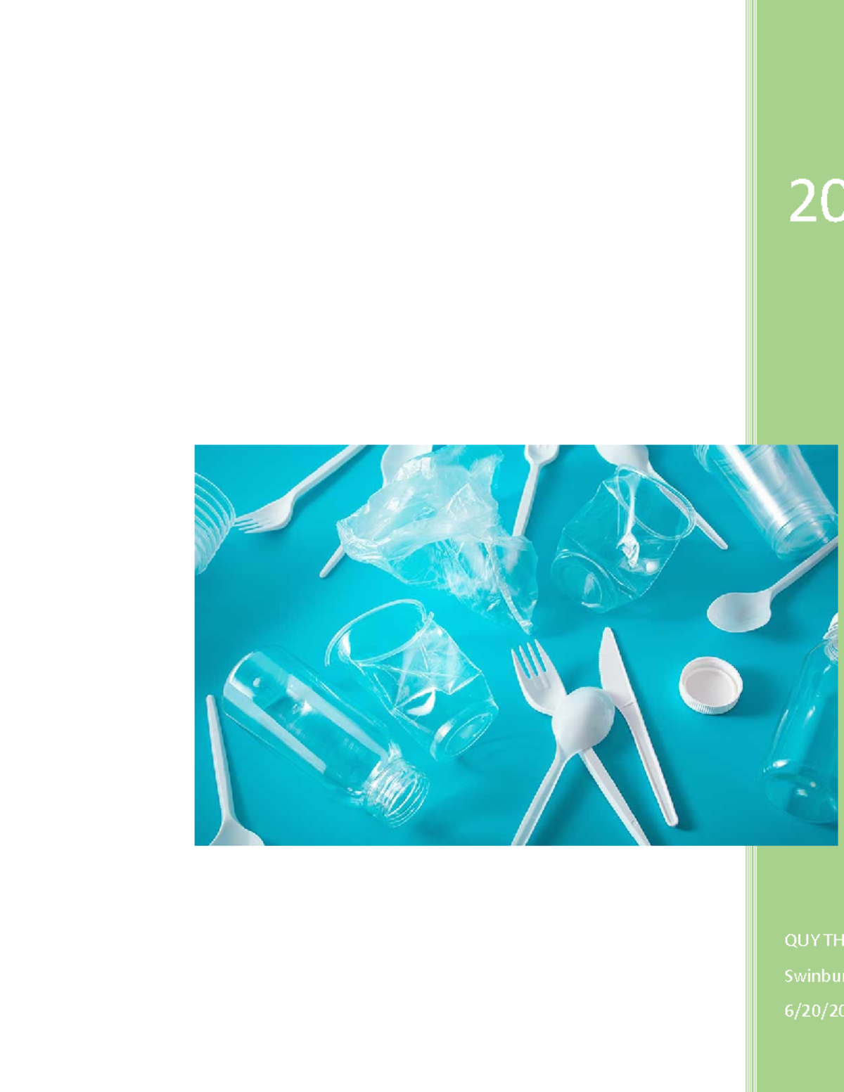 Plastic Purchases and Usages of Students - Consumer Behaviour - MKT2002 ...