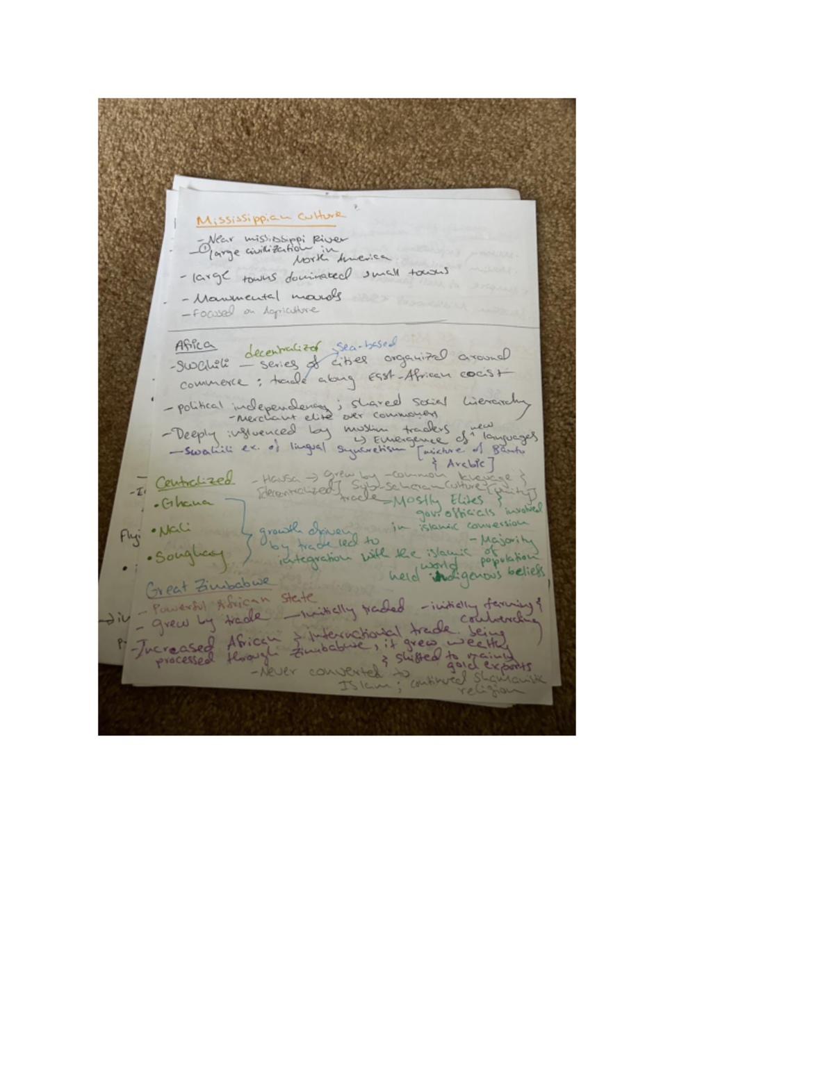 AP World Notes - Studocu