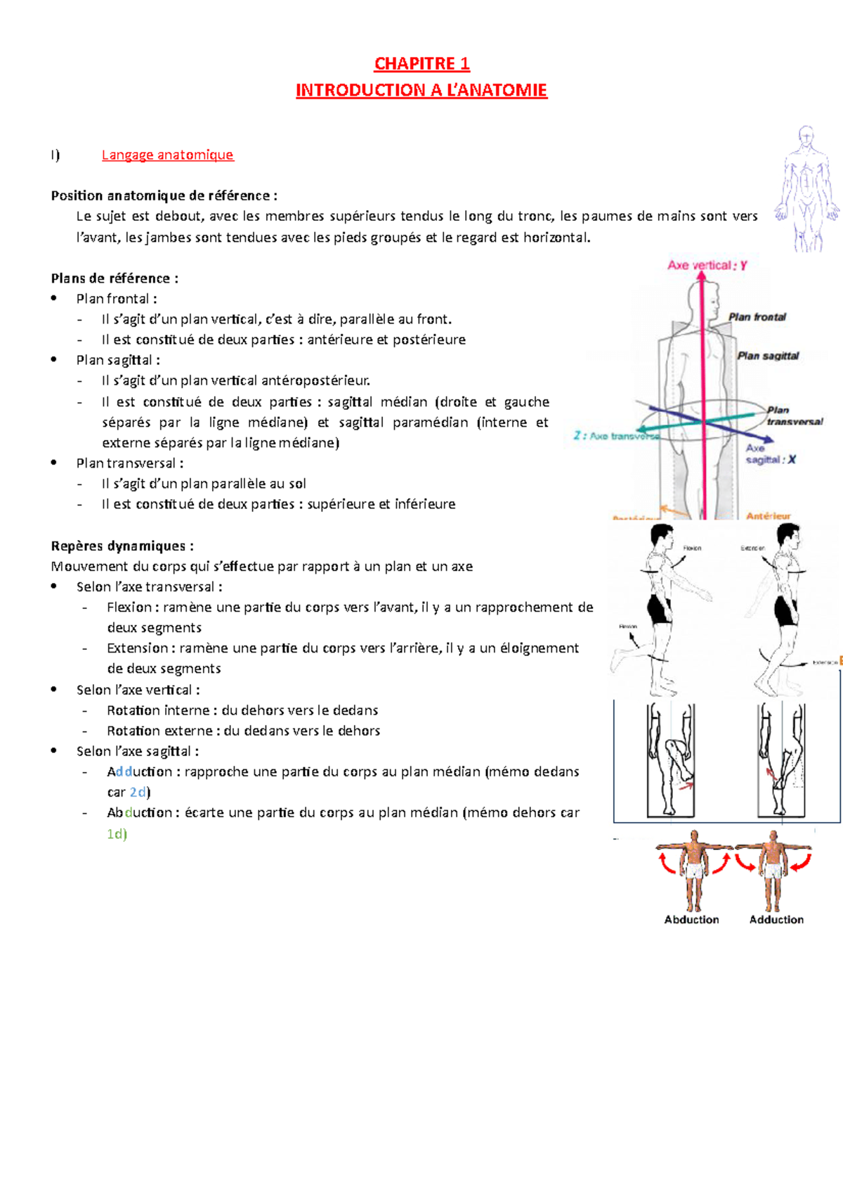 CM1 - Anatomie - CHAPITRE 1 INTRODUCTION A L’ANATOMIE I) Langage ...
