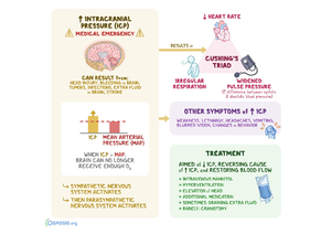 Insulin - LONG ACTING NPH REGULAR RAPID NO Peak iNtermediate Ready to ...