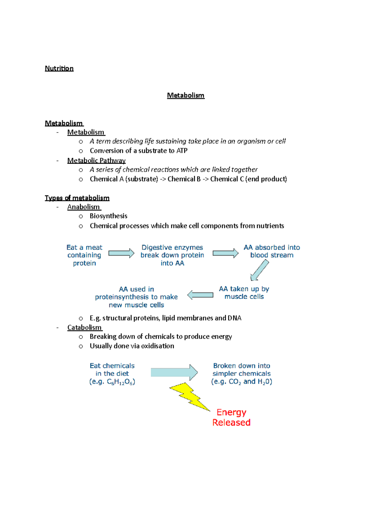 Nutrition - Lecture 18 - Metabolism - Nutrition Metabolism Metabolism ...