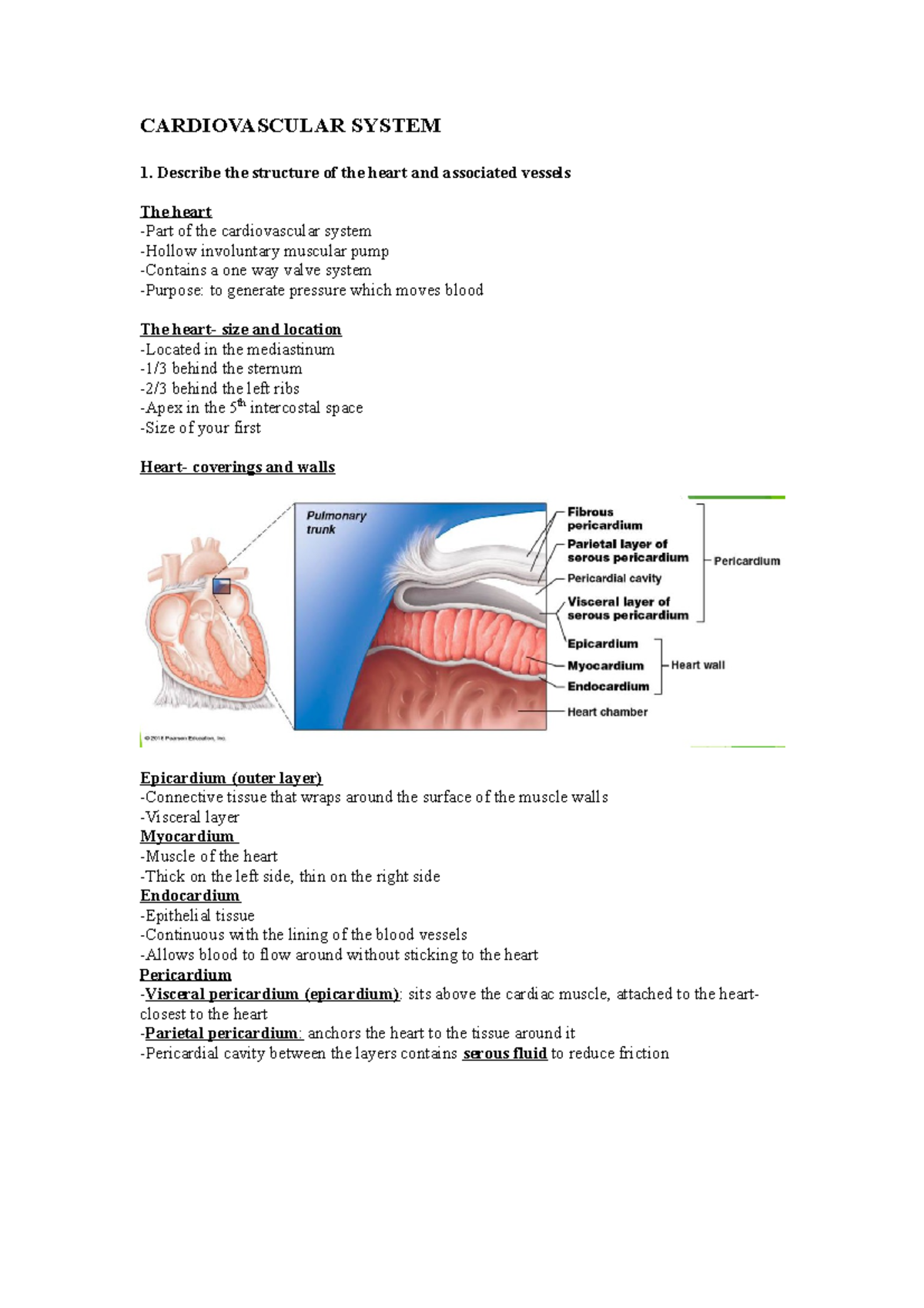 HAP Final Exam Revision Notes - CARDIOVASCULAR SYSTEM Describe the ...