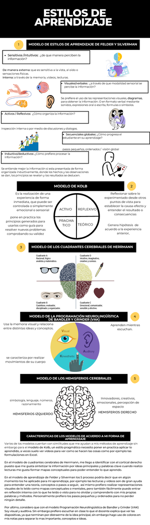 Formato-PIAR Diana - PIAR - I Escuela Normal Superior Nocaima. Abordaje ...