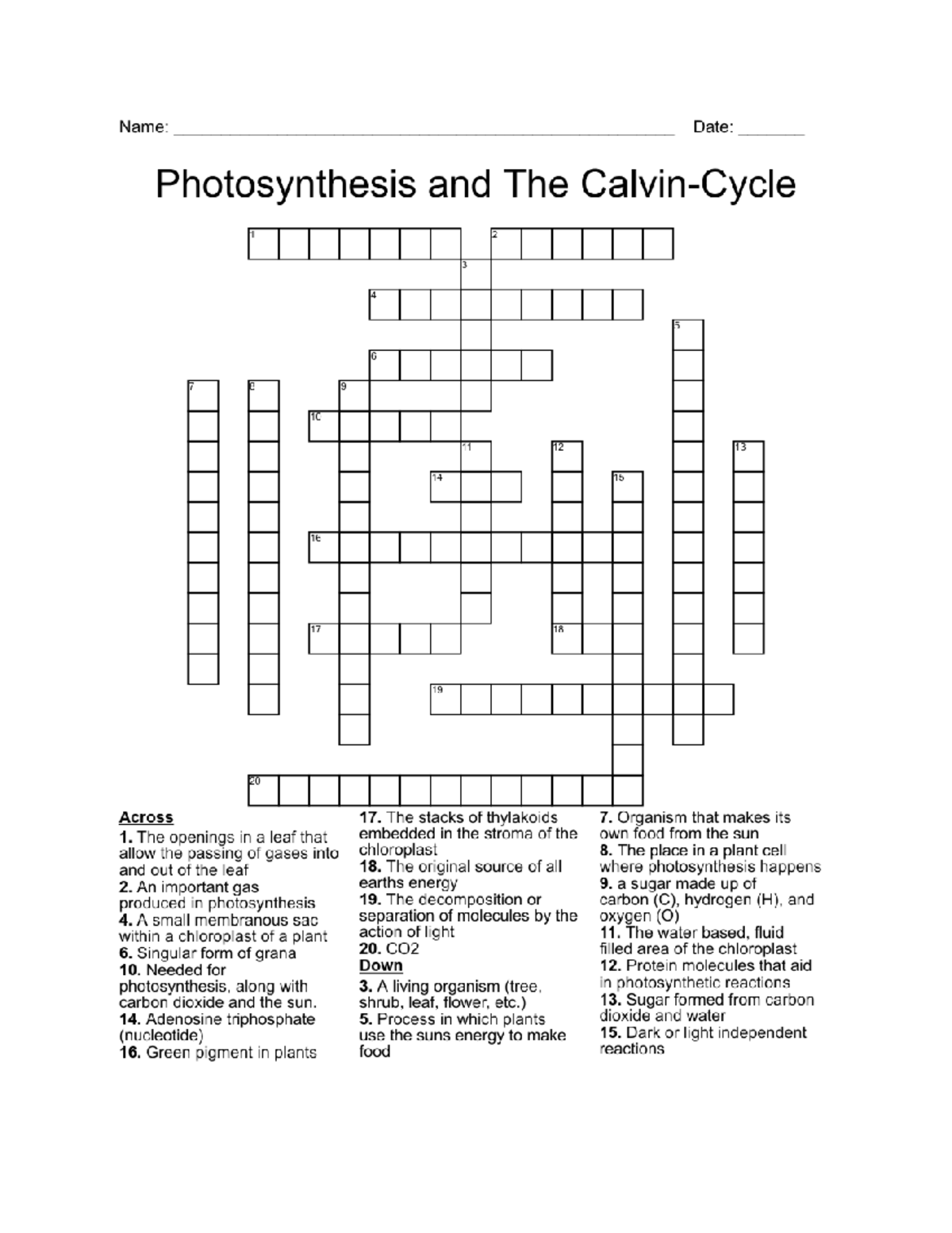 Photosynthesis crossword - BIO 120 - Studocu