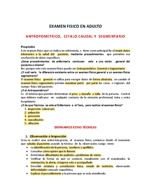 4 AA1000AS-2008 - caso de estudio - Norma de Aseguramiento de ...