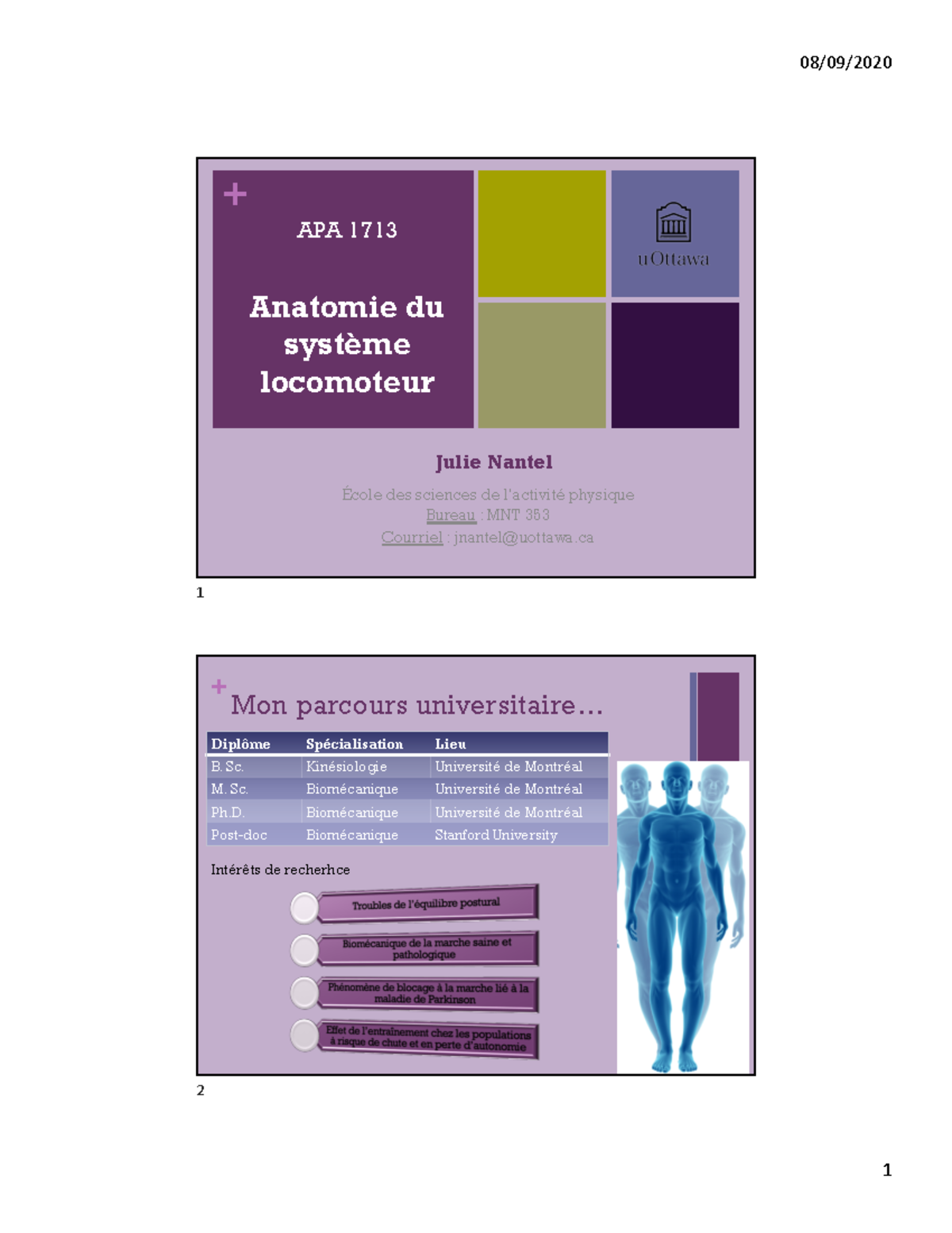2020 APA1713 CLASS - + Anatomie du système locomoteur APA 1713 Julie ...