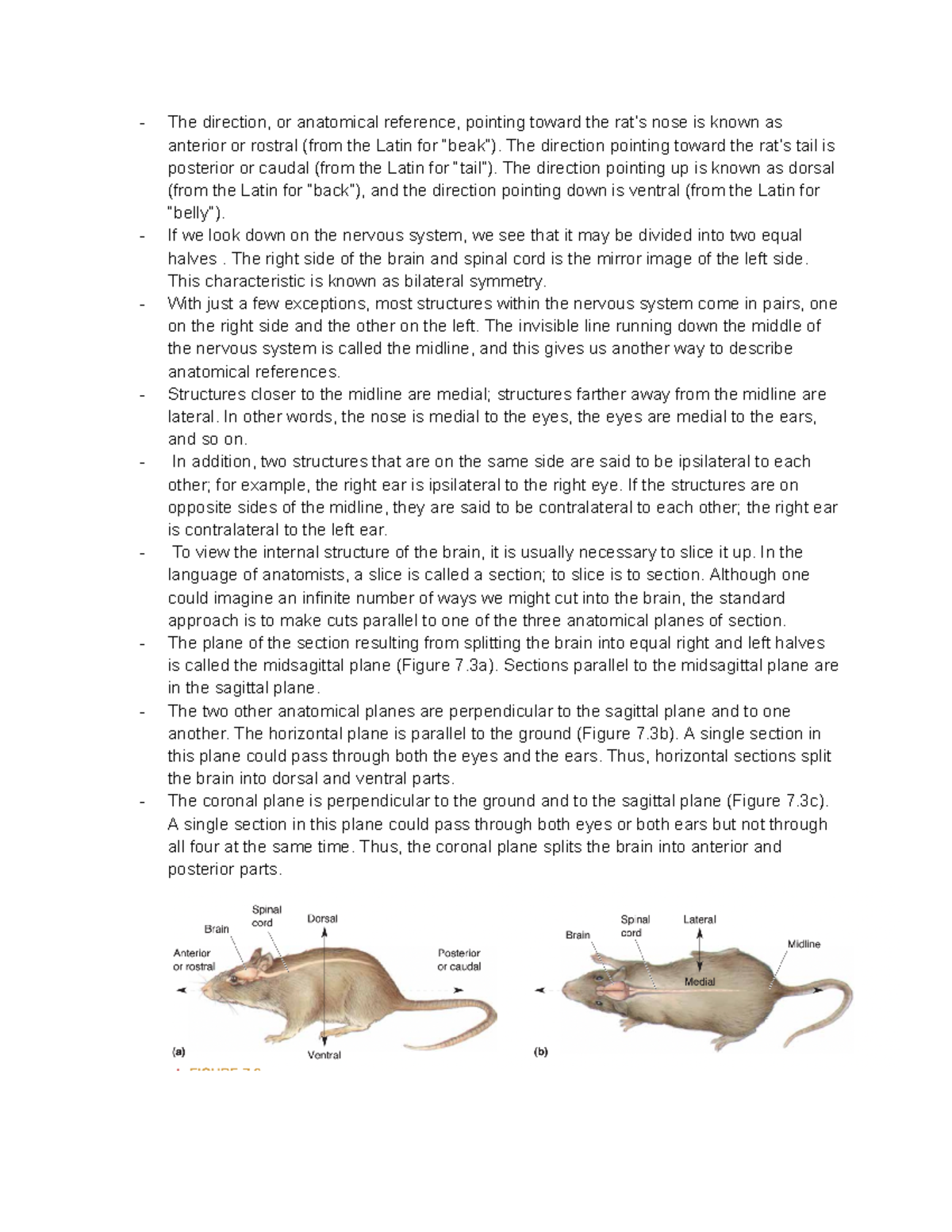 Neuroscience module 1 chapter 7 - The direction, or anatomical ...