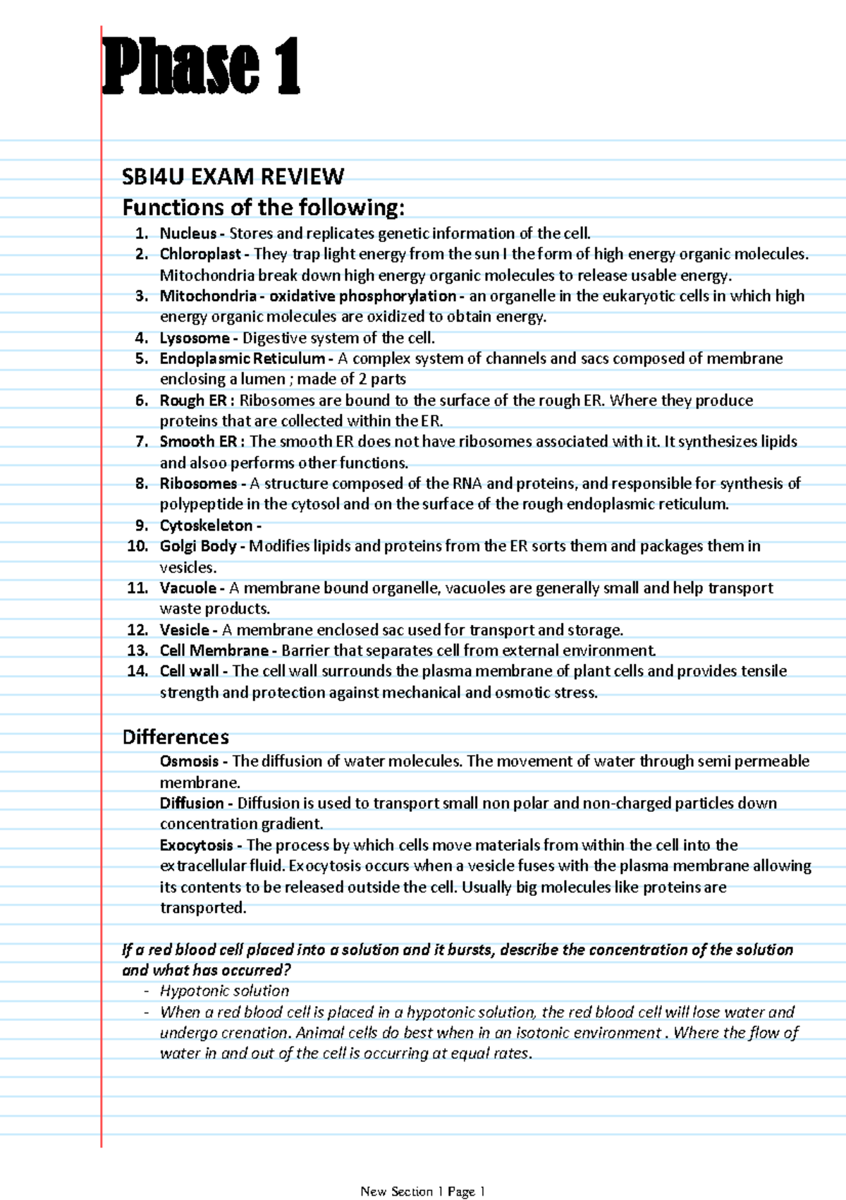 SBI4U final Review - SBI4U EXAM REVIEW Functions of the following ...