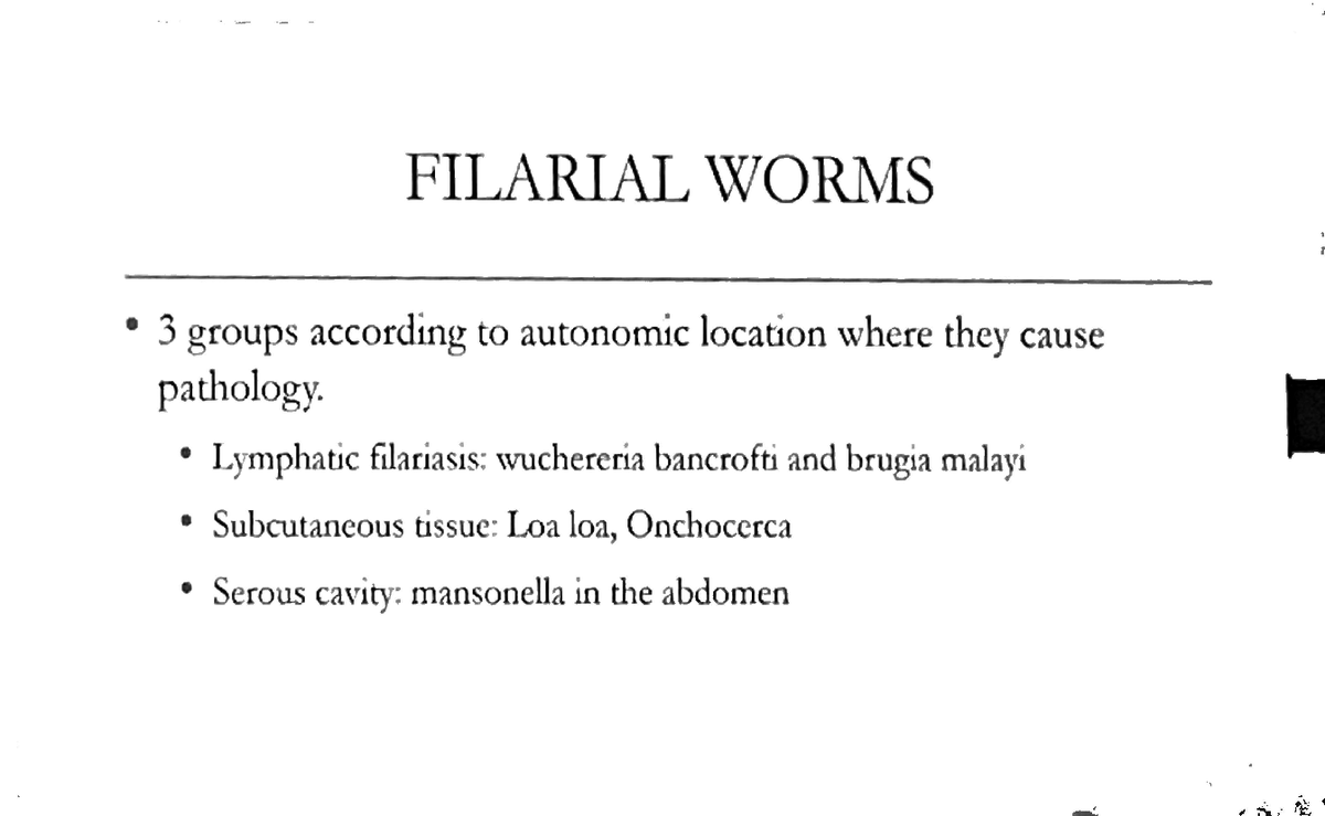 Filariasis - FILARIAL WORMS 3 groups according to autonomic location ...