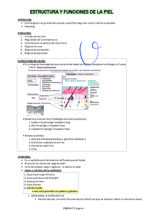 Dermatologia tbc - ESPERO TE SIRVA - TUBERCULOSIS CUTANEA EN EL MUNDO ...