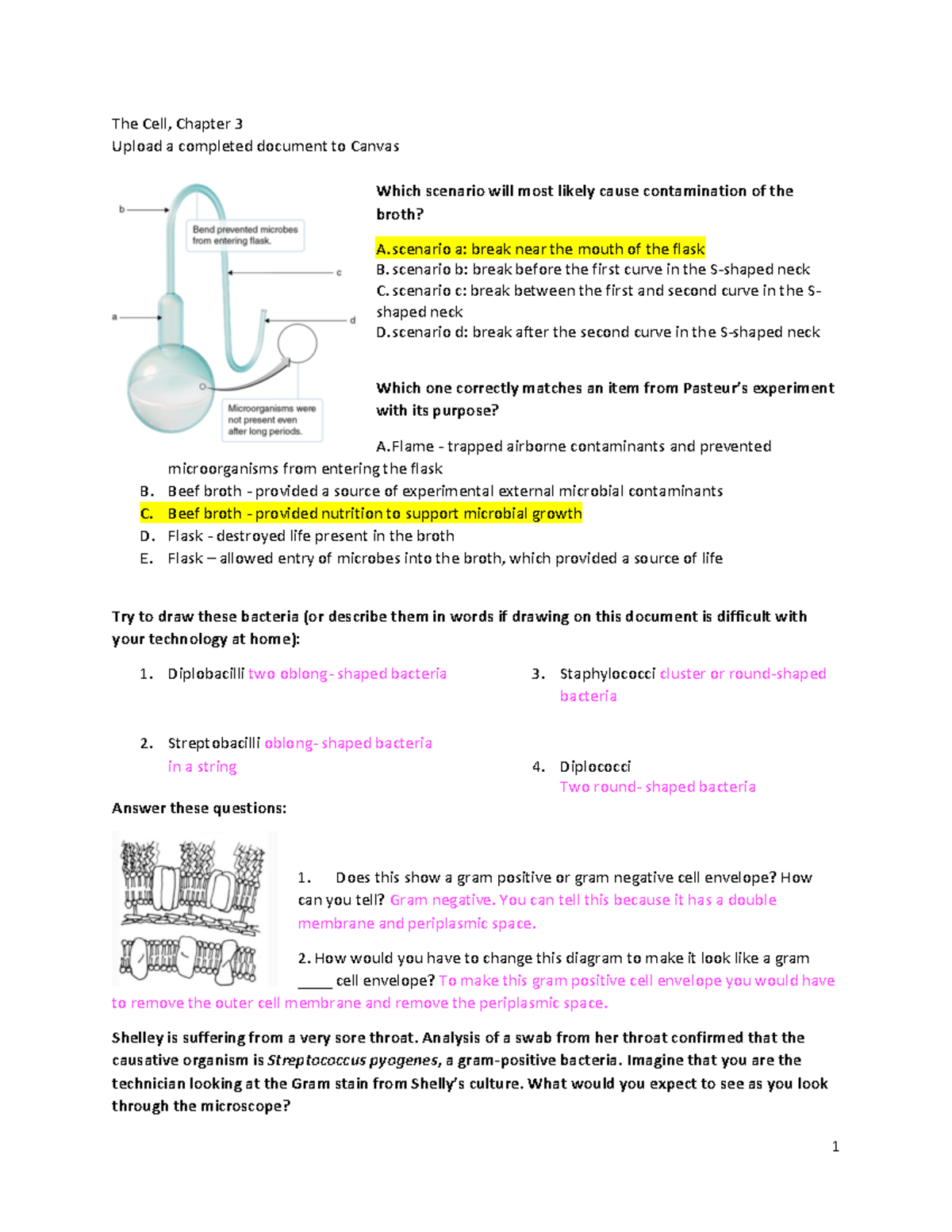 Chp 3 the cell worksheet-1 - 1 The Cell, Chapter 3 Upload a completed ...