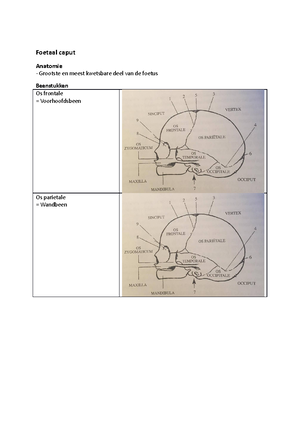Partus Samenvatting - Fysiologische verloskunde: partus Definitie ...