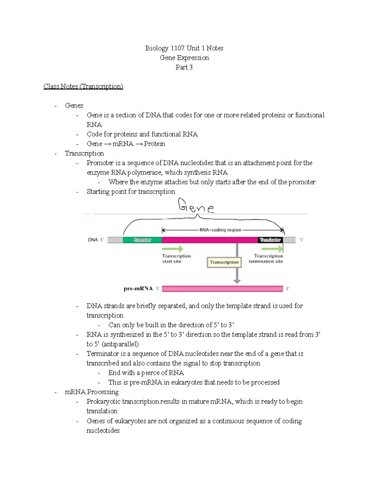 Biology 1107 Unit 1 Notes Part 3 - Biology 1107 Unit 1 Notes Gene ...