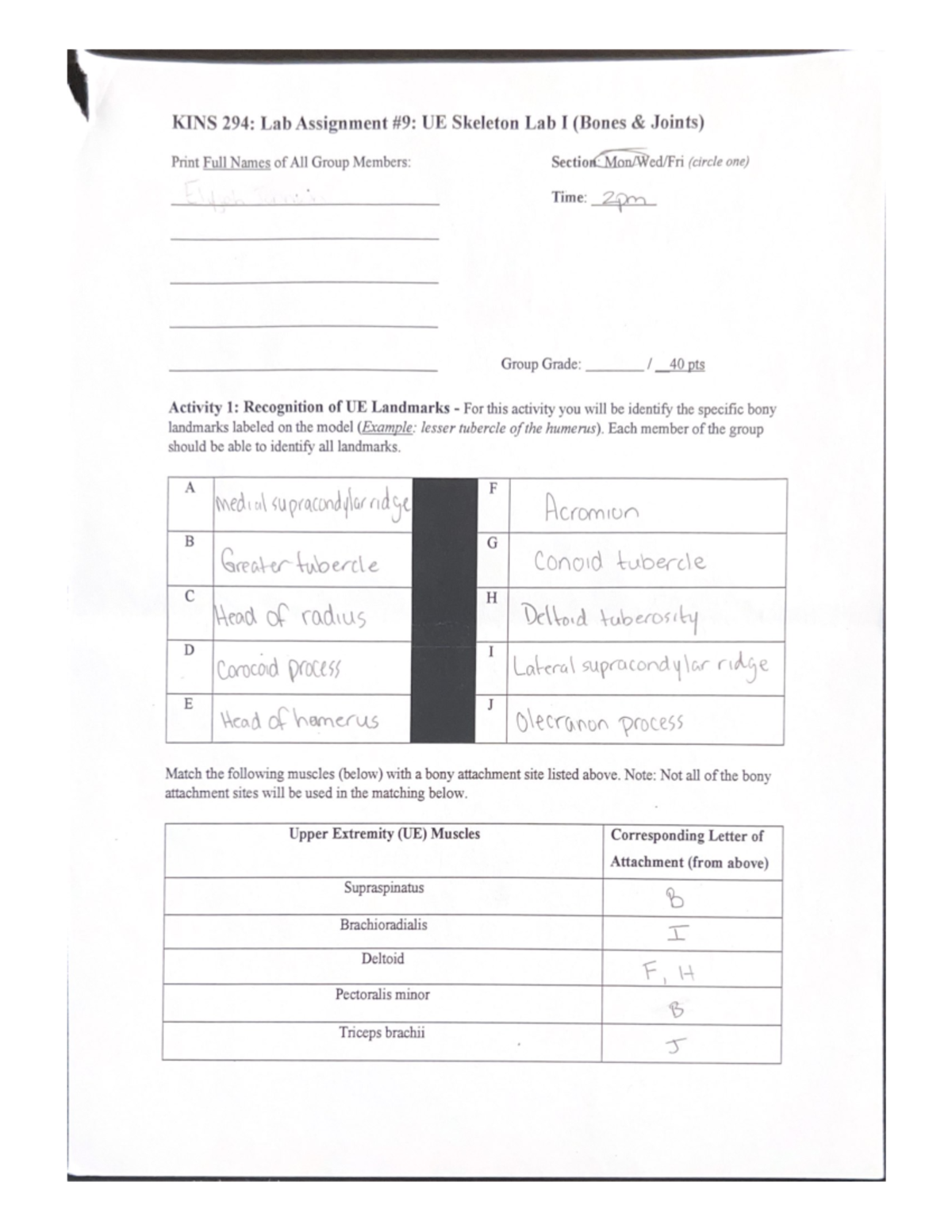 KINS 294 Lab Assignment #9 Upper Extremity Skeleton Lab I (Bones and ...