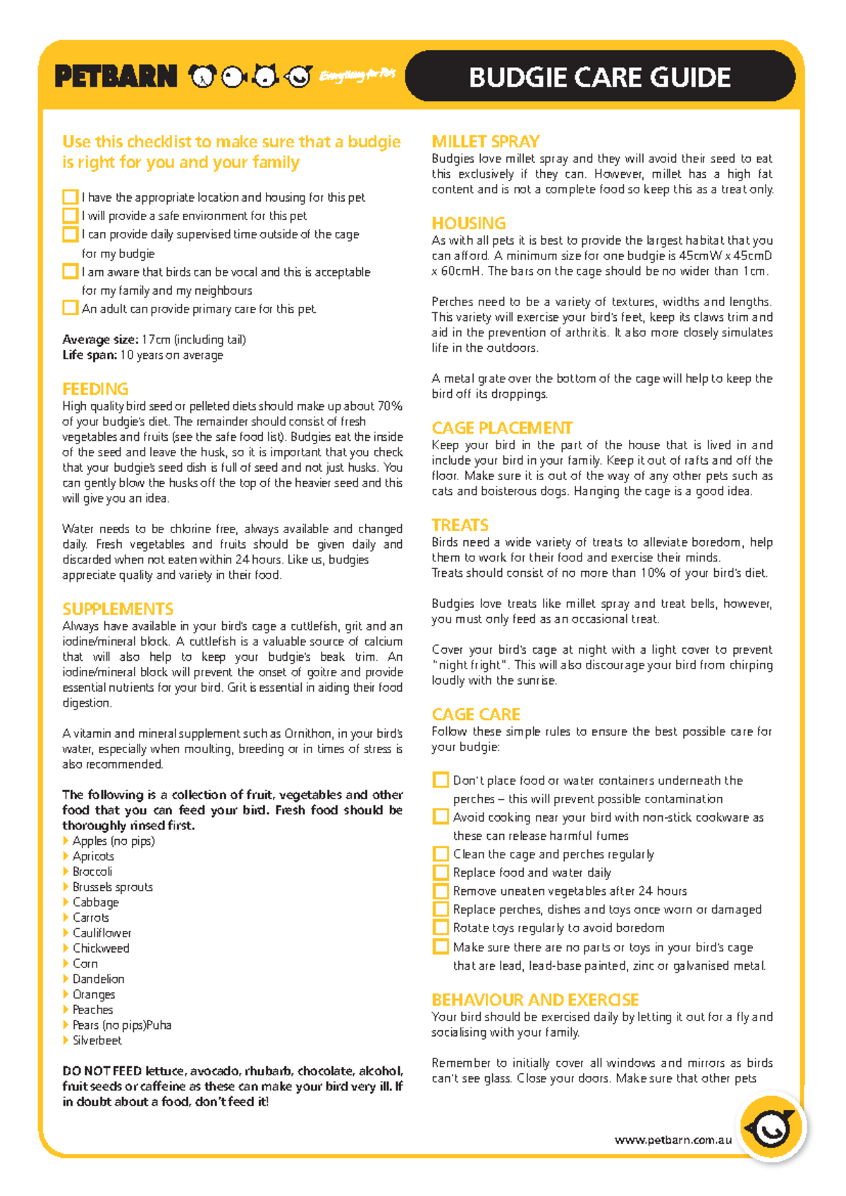 Budgie care guide - Information for an English project. - Use this ...
