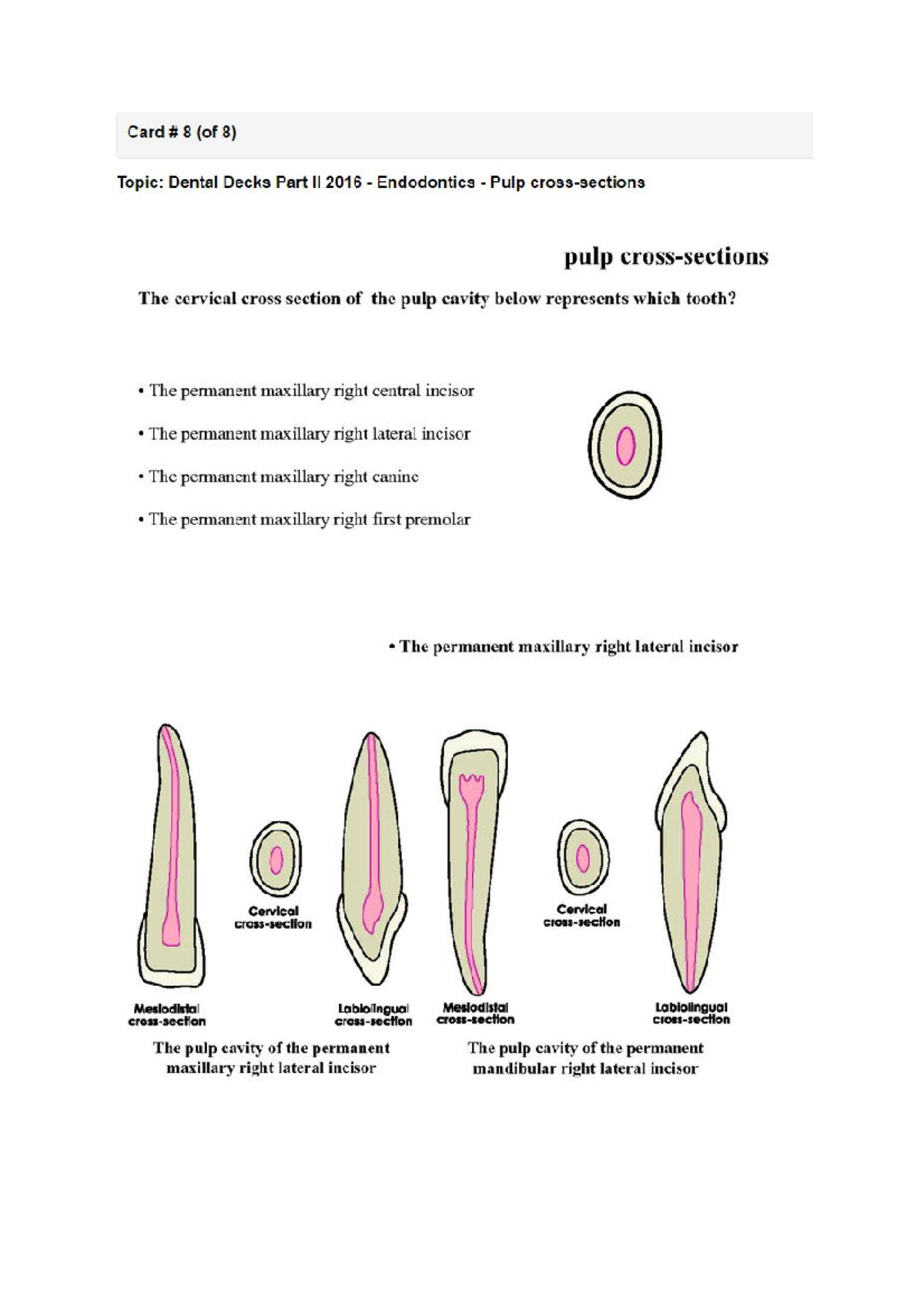 Pulp extraction - Surgical and Dental Implant Design (MSE442H1) - Edit ...