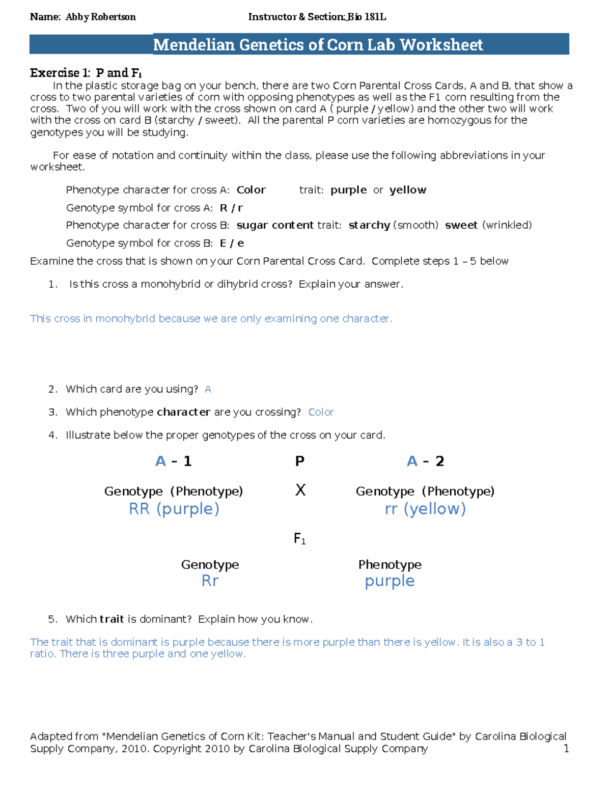 Genetics lab - Mendelian Genetics of Corn Lab Worksheet Exercise 1: P ...