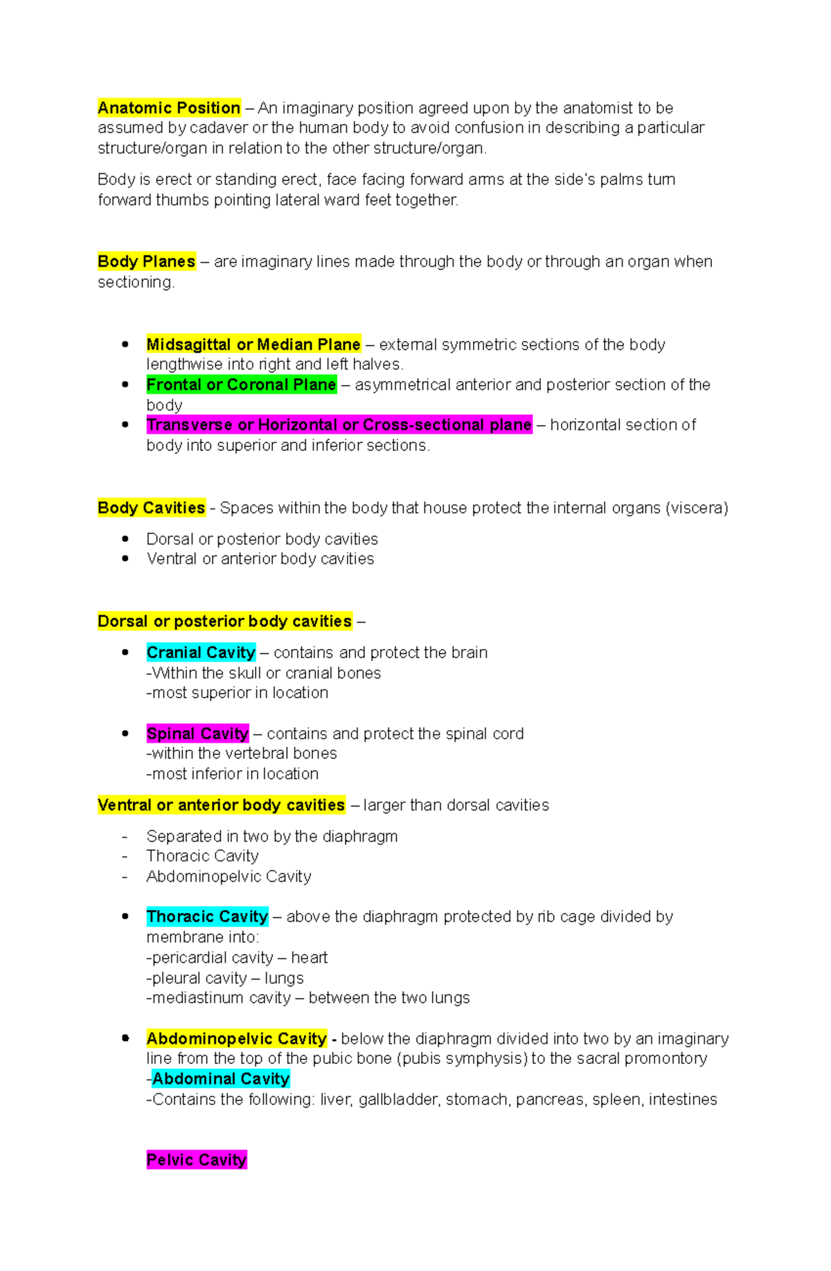 Reviewer anatomical position - Anatomic Position – An imaginary ...