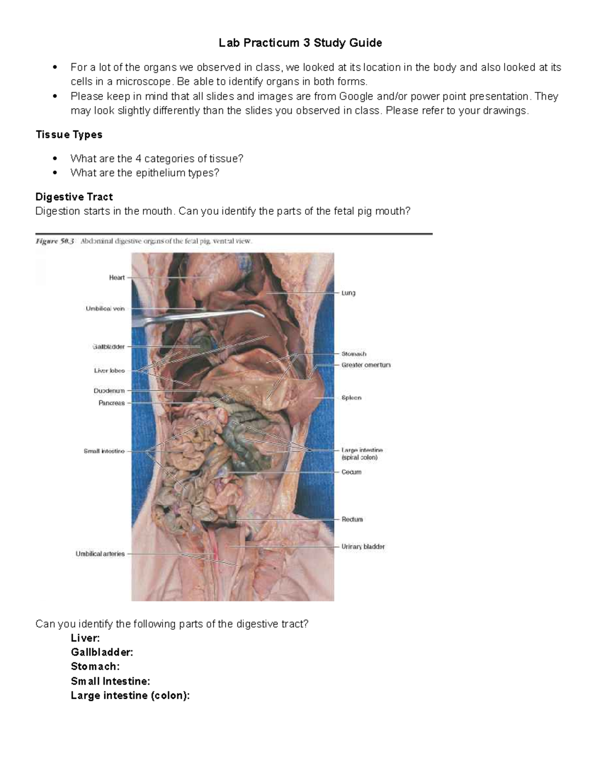 Practicum 3 study guide - Lab Practicum 3 Study Guide For a lot of the ...