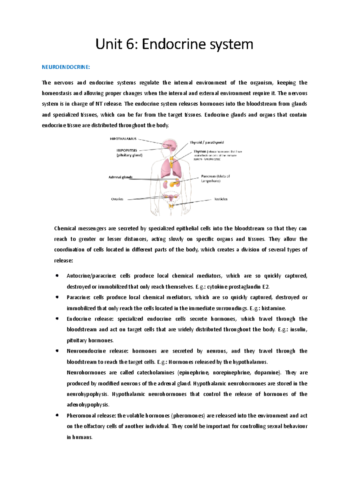 Unit 6 - Physiology - Unit 6: Endocrine system NEUROENDOCRINE: The ...