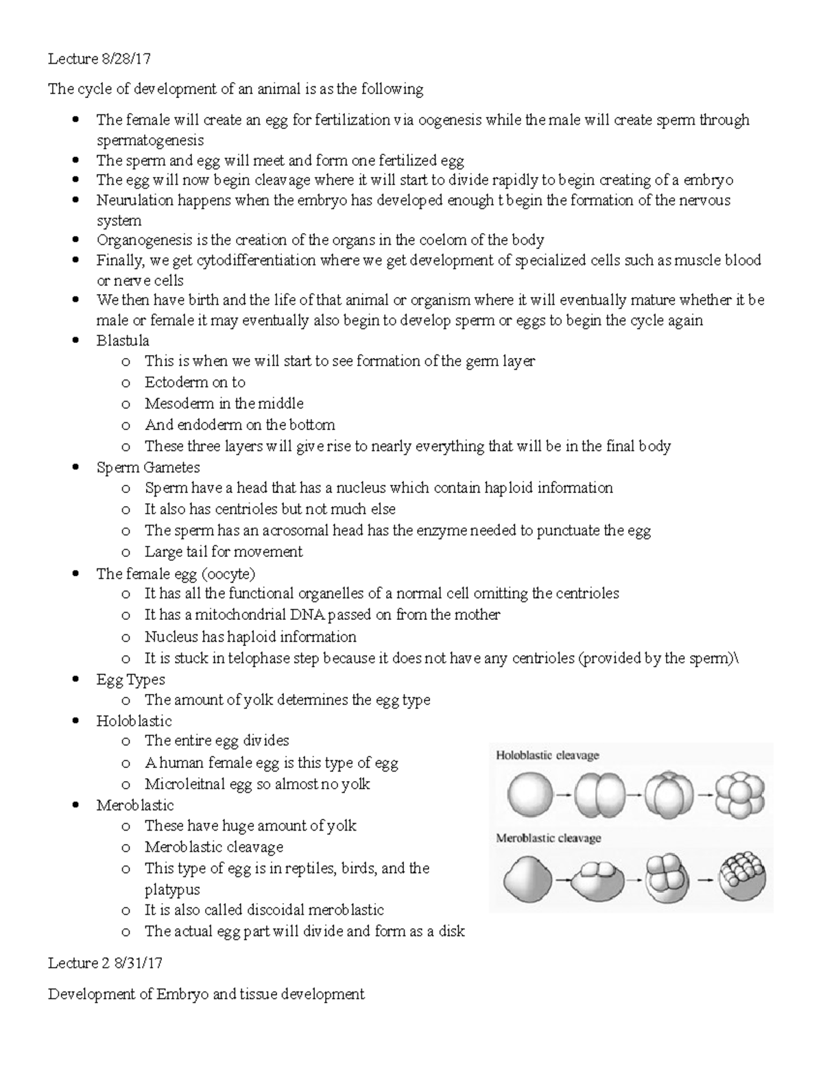 Comp Vert Exam 1 notes - Lecture note covering the material for BIO 448 ...